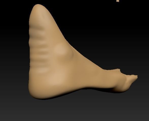 Foot free VR / AR / low-poly 3D model | CGTrader