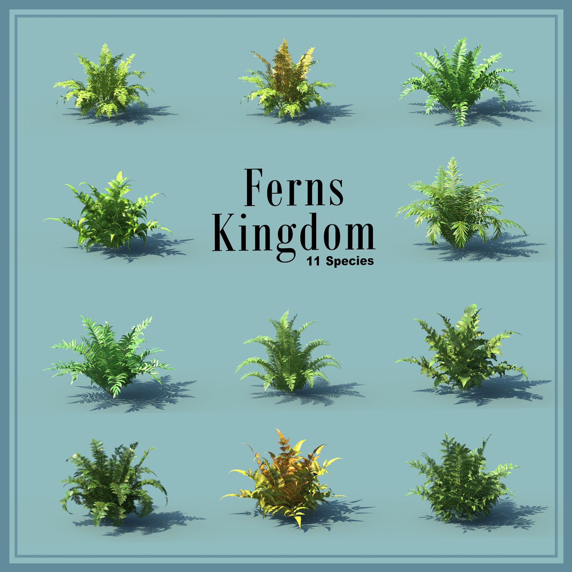Fern Kingdoms 11 Species 3D model | CGTrader