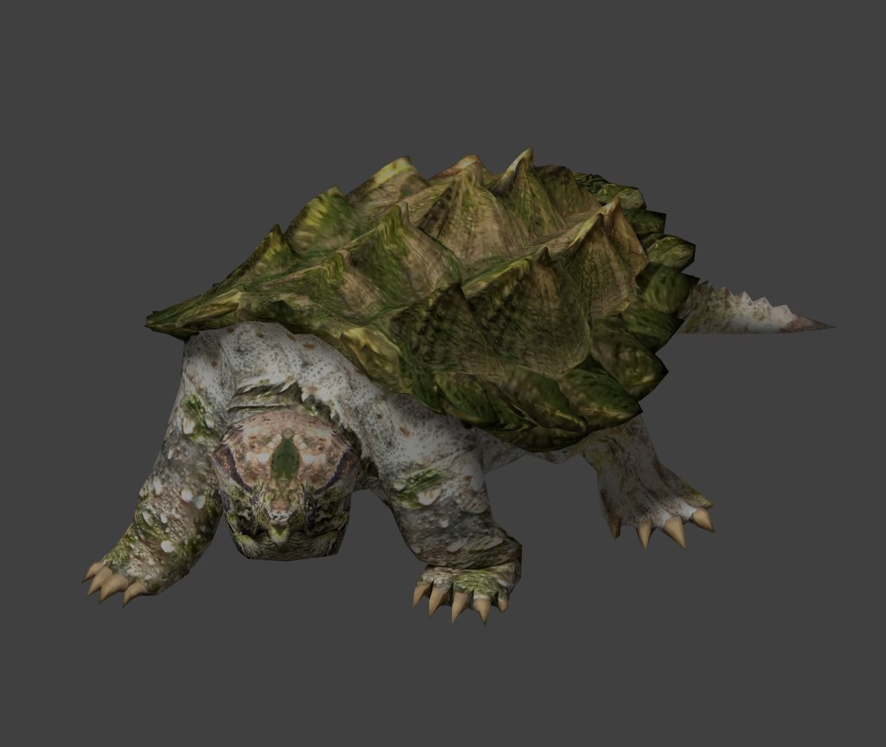 Alligator snapping turtle 3D model animated rigged | CGTrader