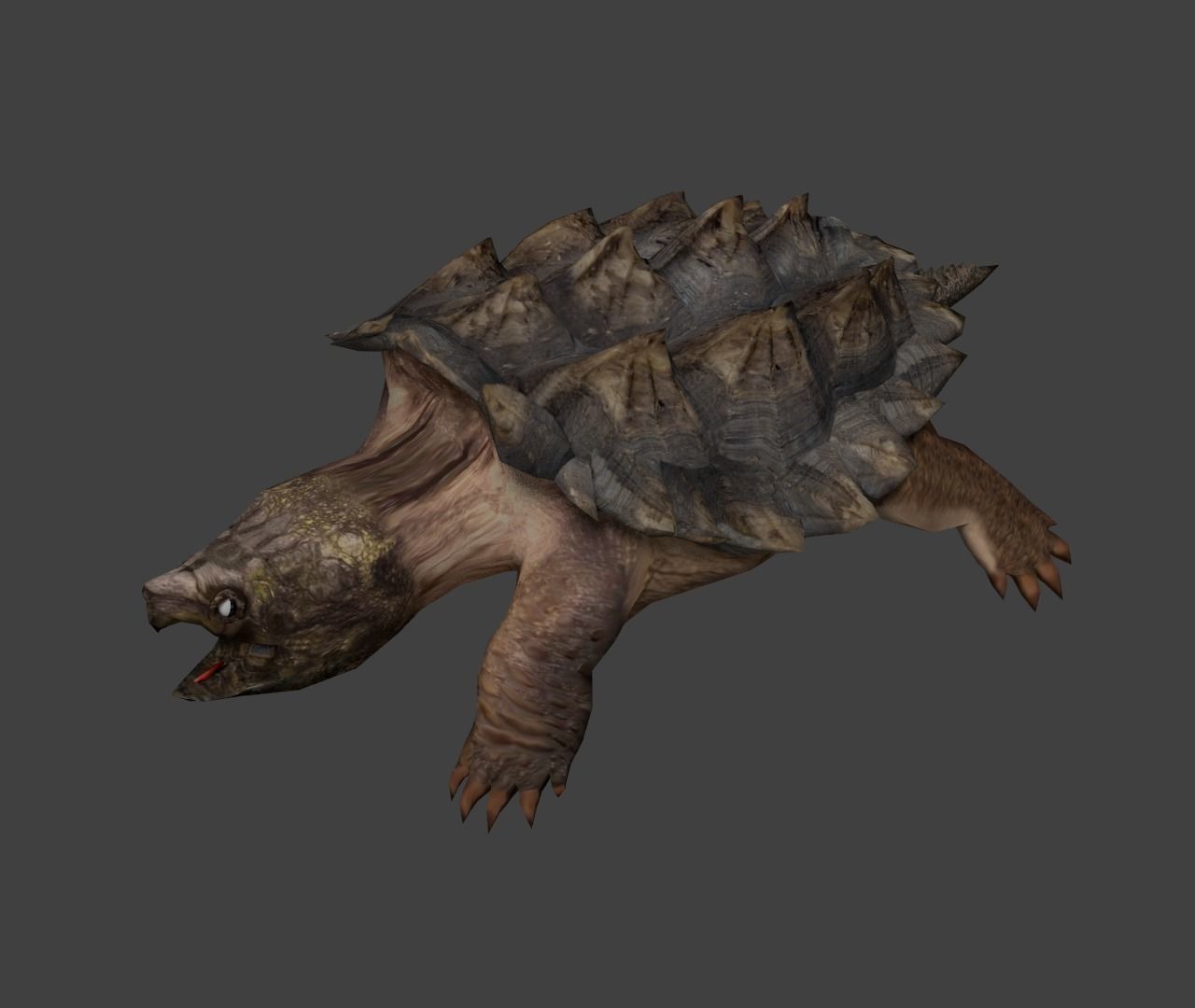 Alligator snapping turtle 3D model animated rigged | CGTrader