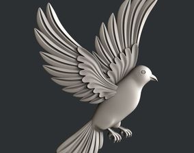 Dove 3D Models | CGTrader