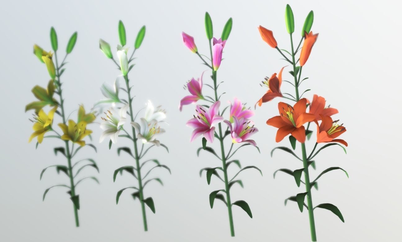 3D model Flower LiLi VR / AR / low-poly | CGTrader