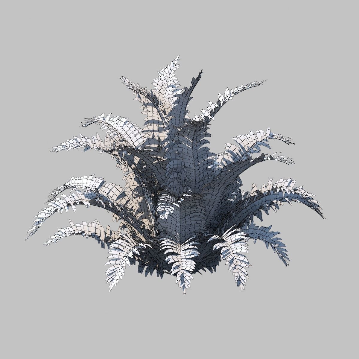 Cinnamon Fern With Animation 3D model animated | CGTrader