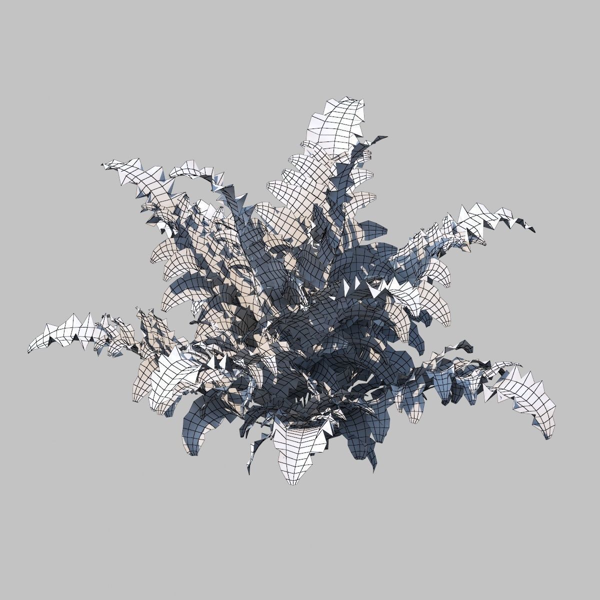 Vegetable Fern A With Animation 3D model animated | CGTrader