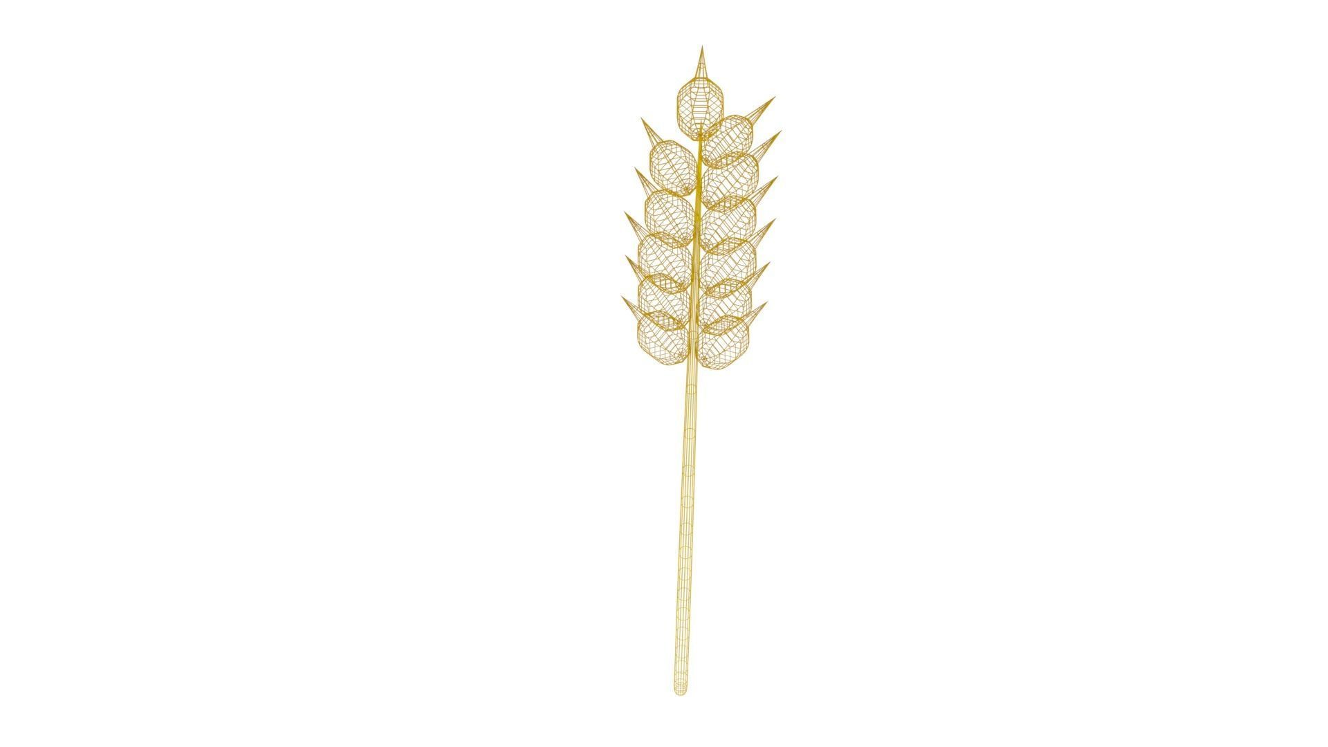 Wheat LOW POLY stalk 3D model | CGTrader