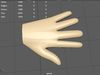 Character Hand Model free 3D model | CGTrader