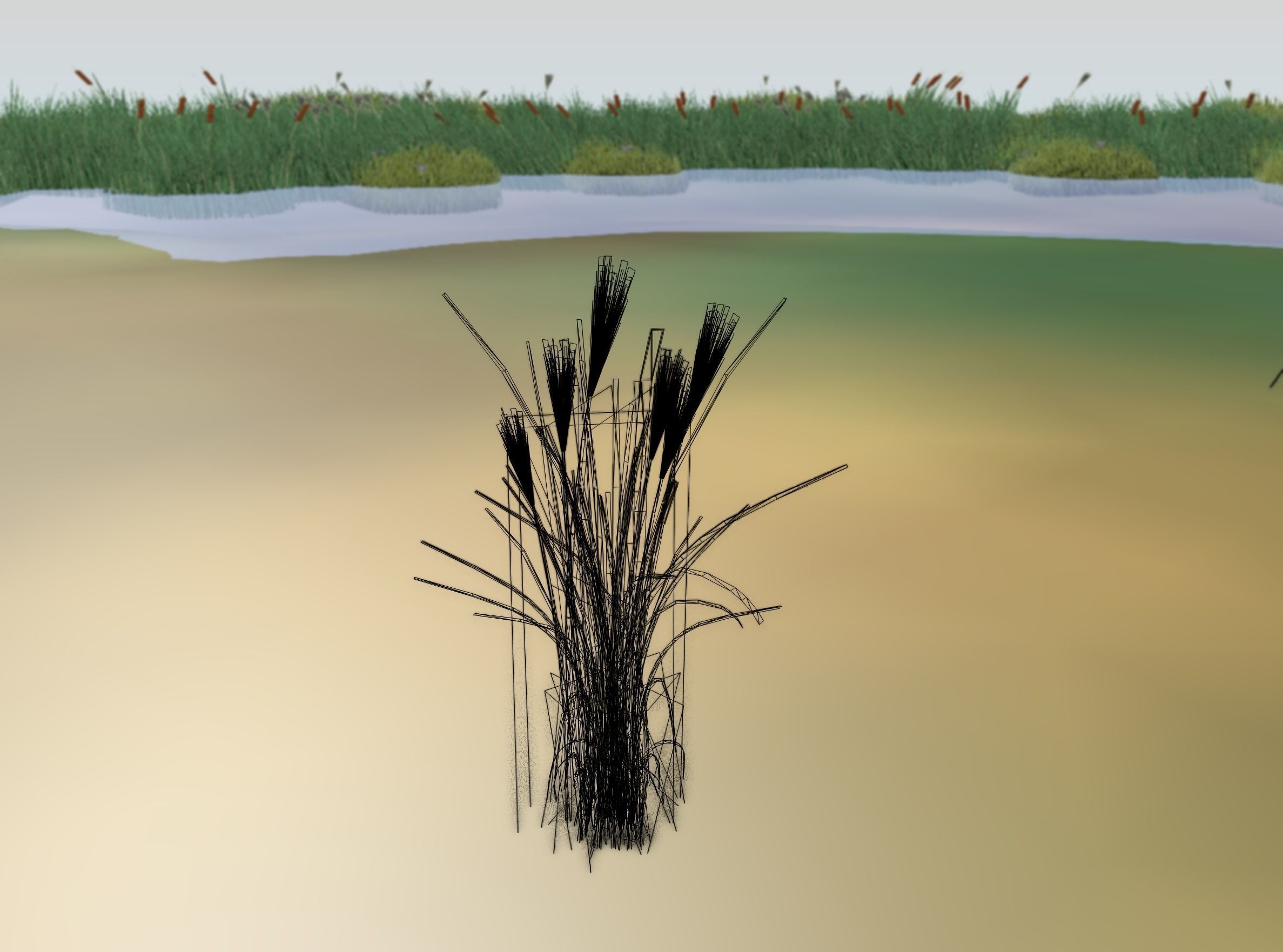 3D model Reeds - Object 14 VR / AR / low-poly | CGTrader 3D model Reeds - Object 14 VR / AR / low-poly | CGTrader