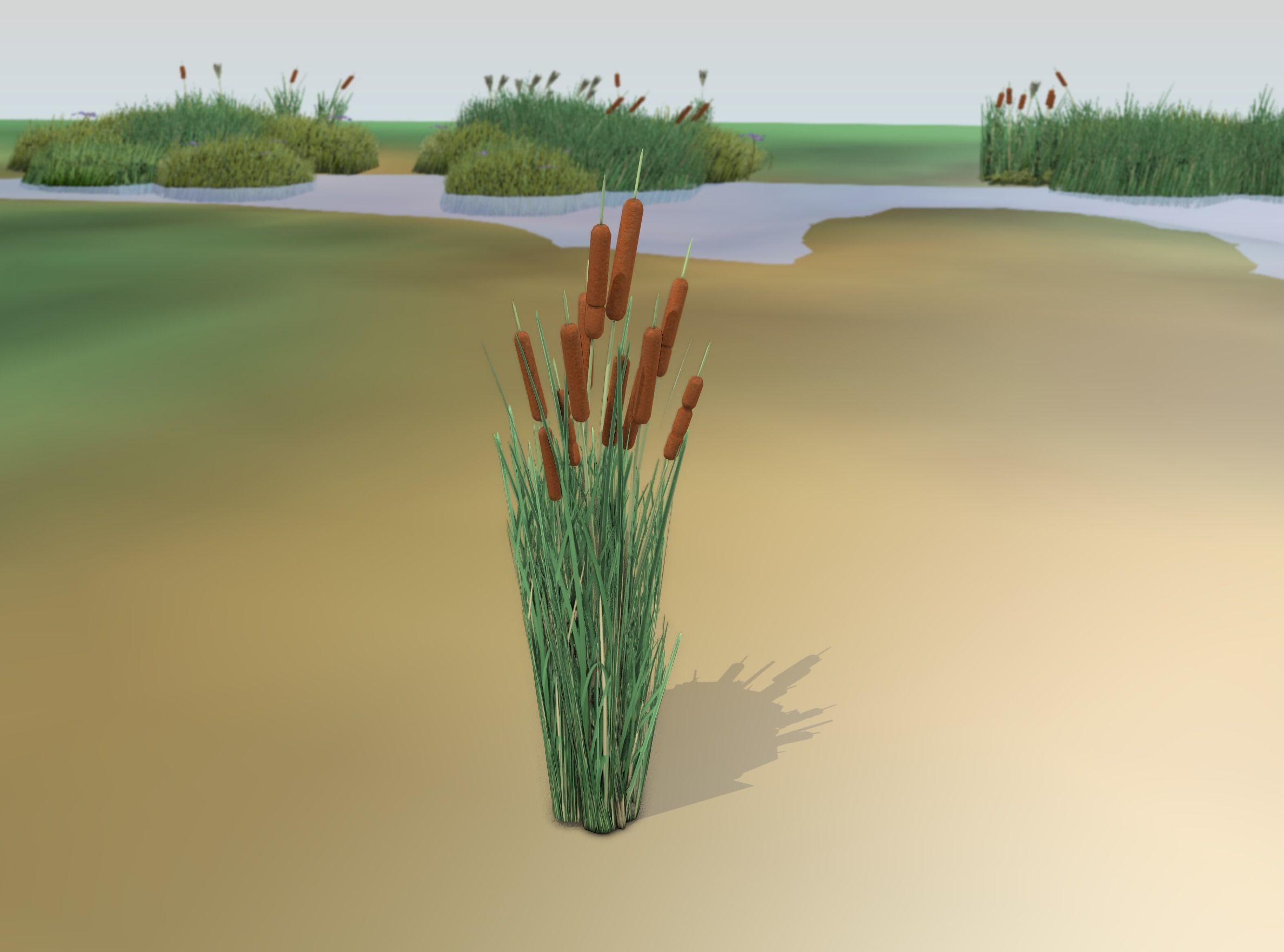 3D model Reeds - Object 26 VR / AR / low-poly | CGTrader 3D model Reeds - Object 26 VR / AR / low-poly | CGTrader