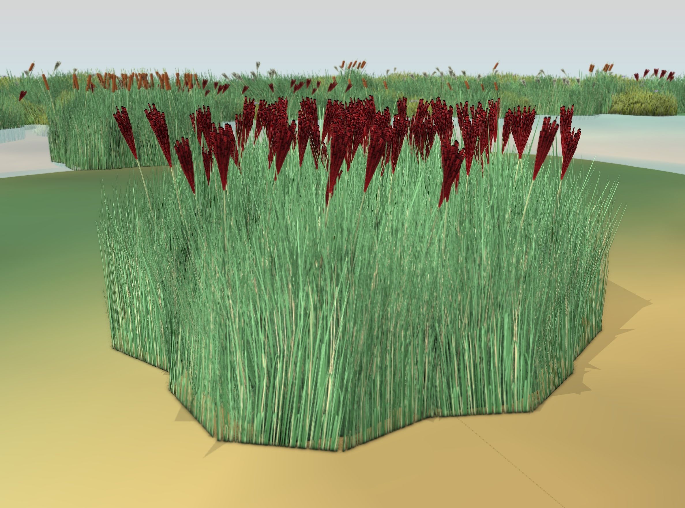 3D model Reeds - Object 58 VR / AR / low-poly | CGTrader