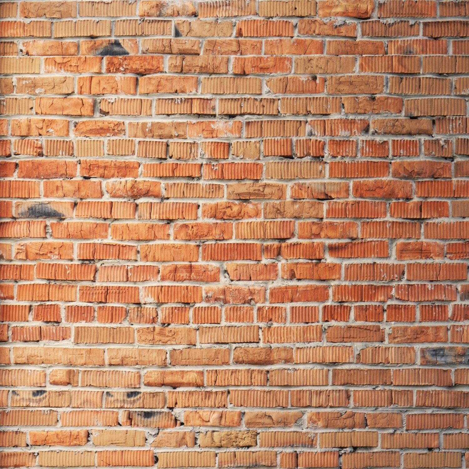 Texture brick 188 VR / AR / low-poly | CGTrader