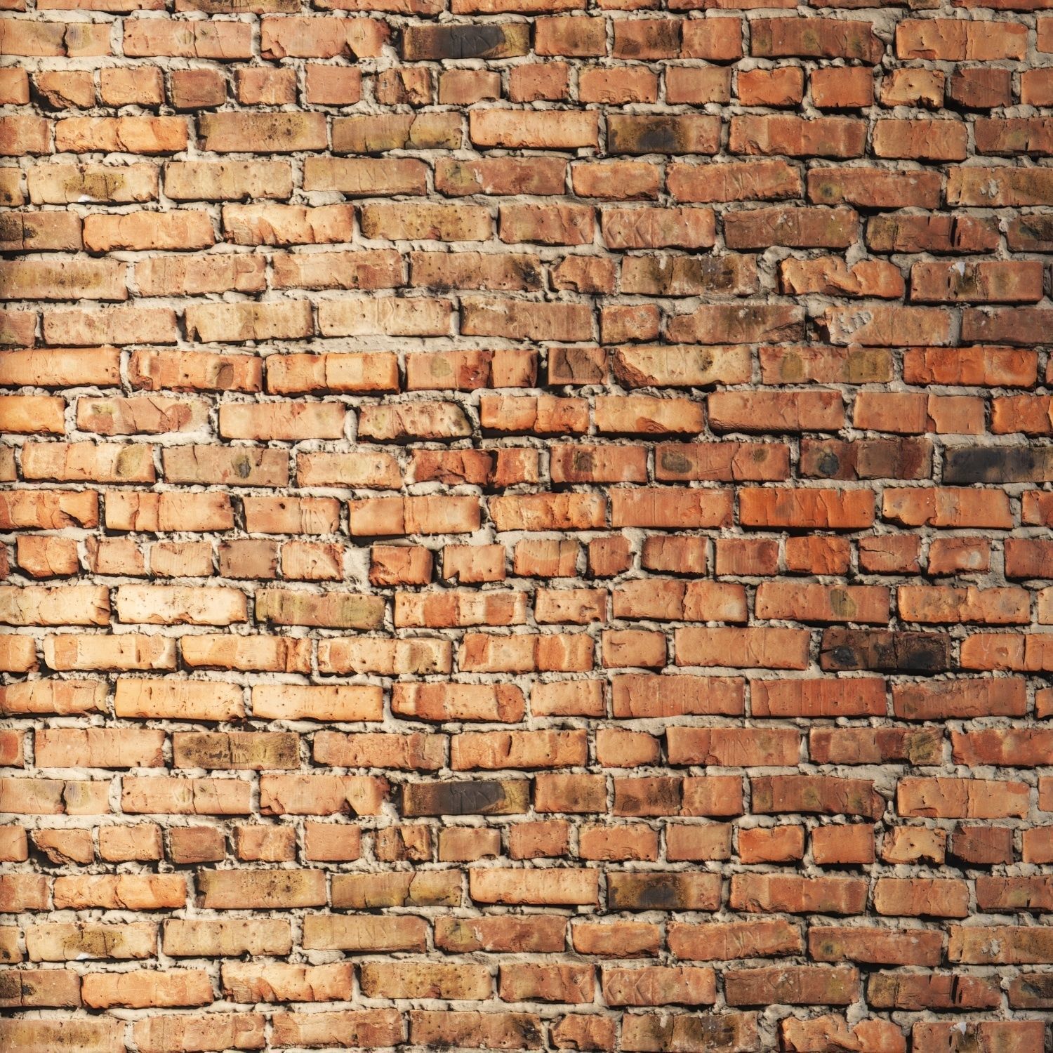 Texture brick 145 VR / AR / low-poly | CGTrader