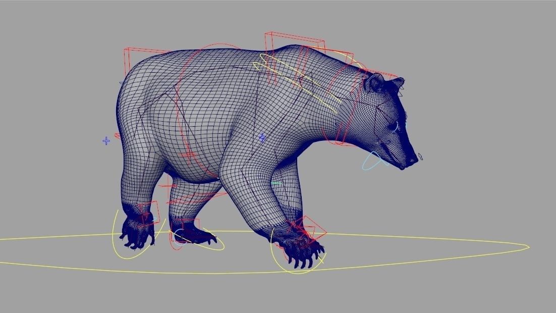 grizzly bear MODEL RIG 3D model rigged | CGTrader