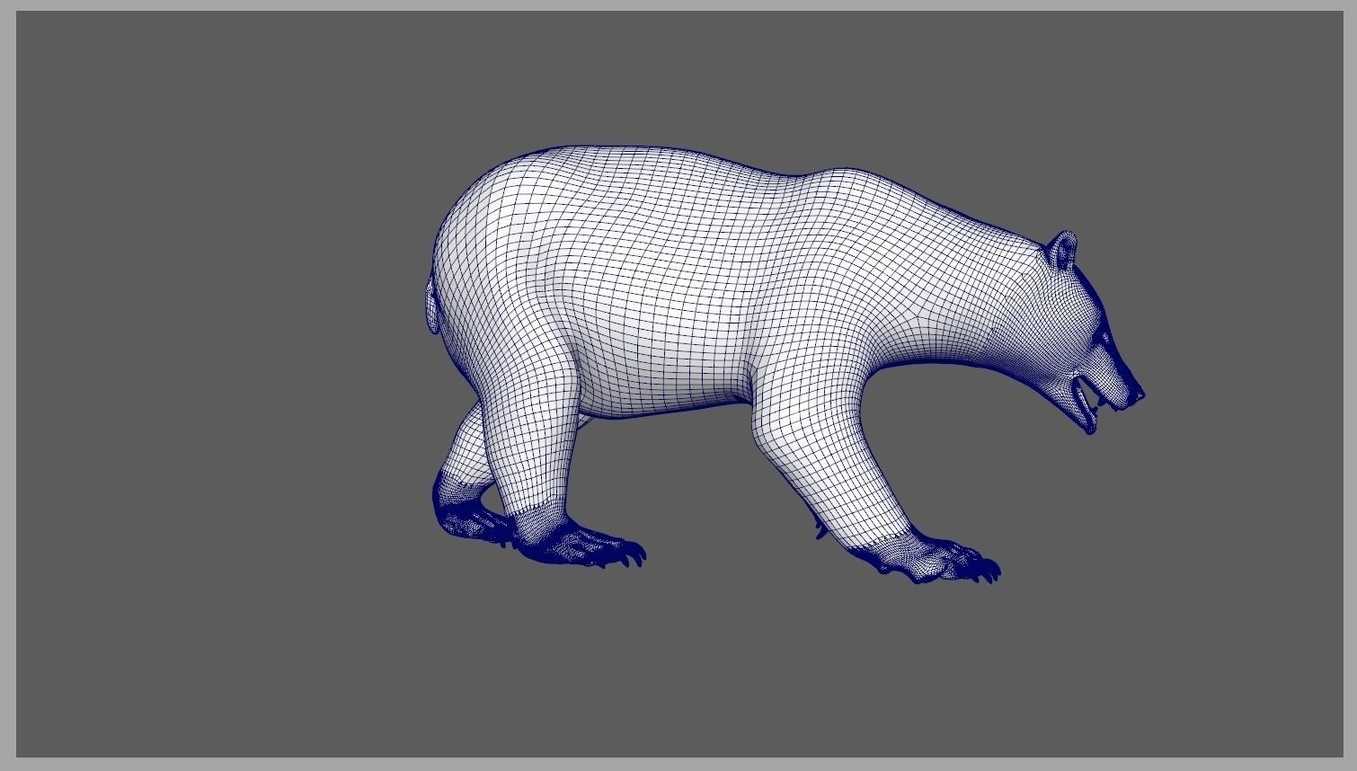 grizzly bear MODEL RIG 3D model rigged | CGTrader