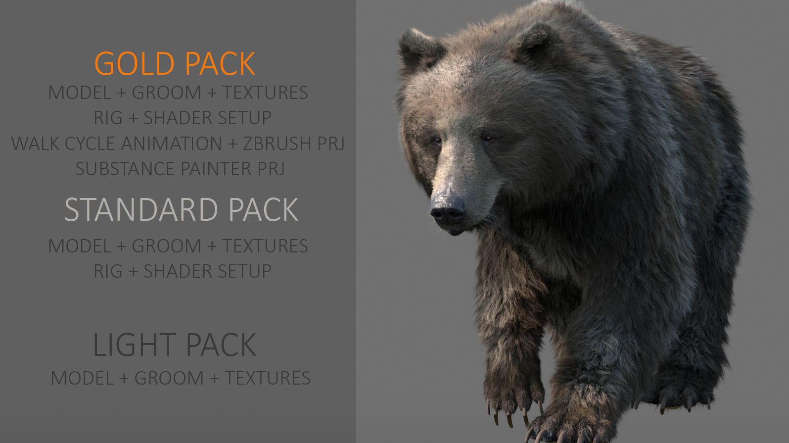 grizzly bear MODEL RIG 3D model rigged | CGTrader