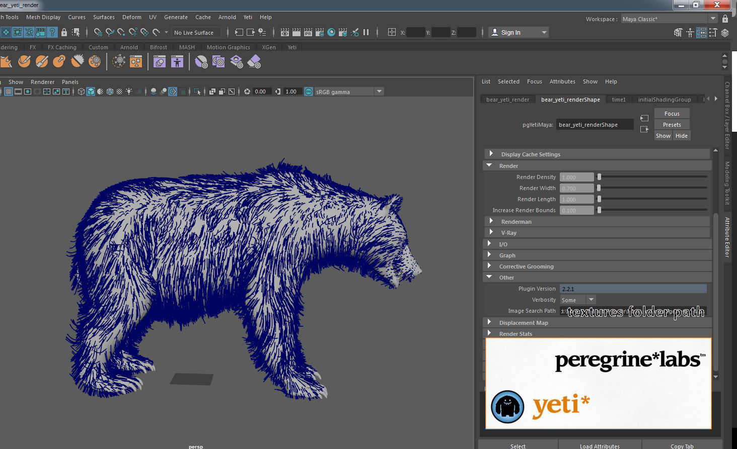 grizzly bear MODEL RIG 3D model rigged | CGTrader