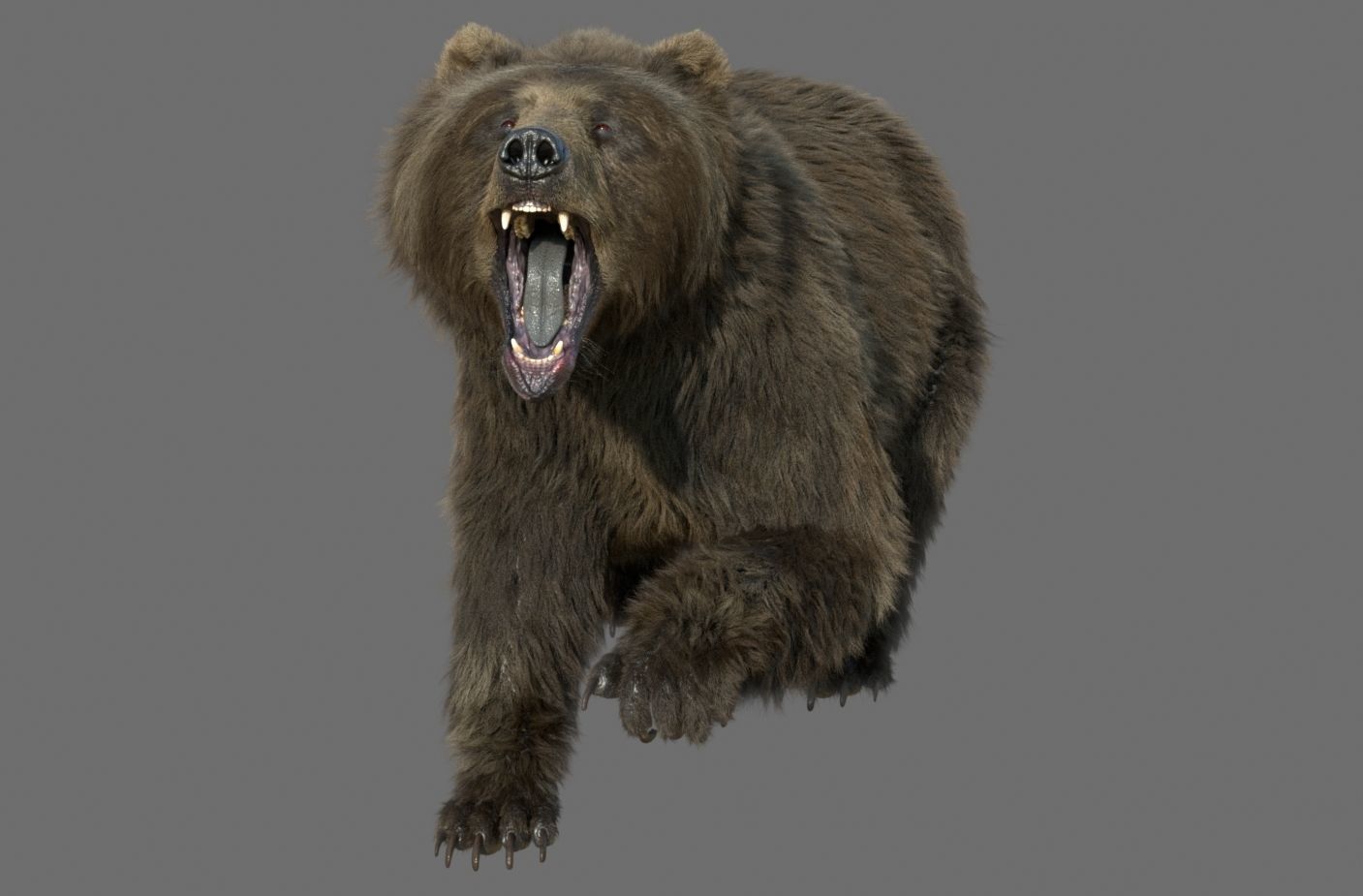 grizzly bear MODEL RIG 3D model rigged | CGTrader