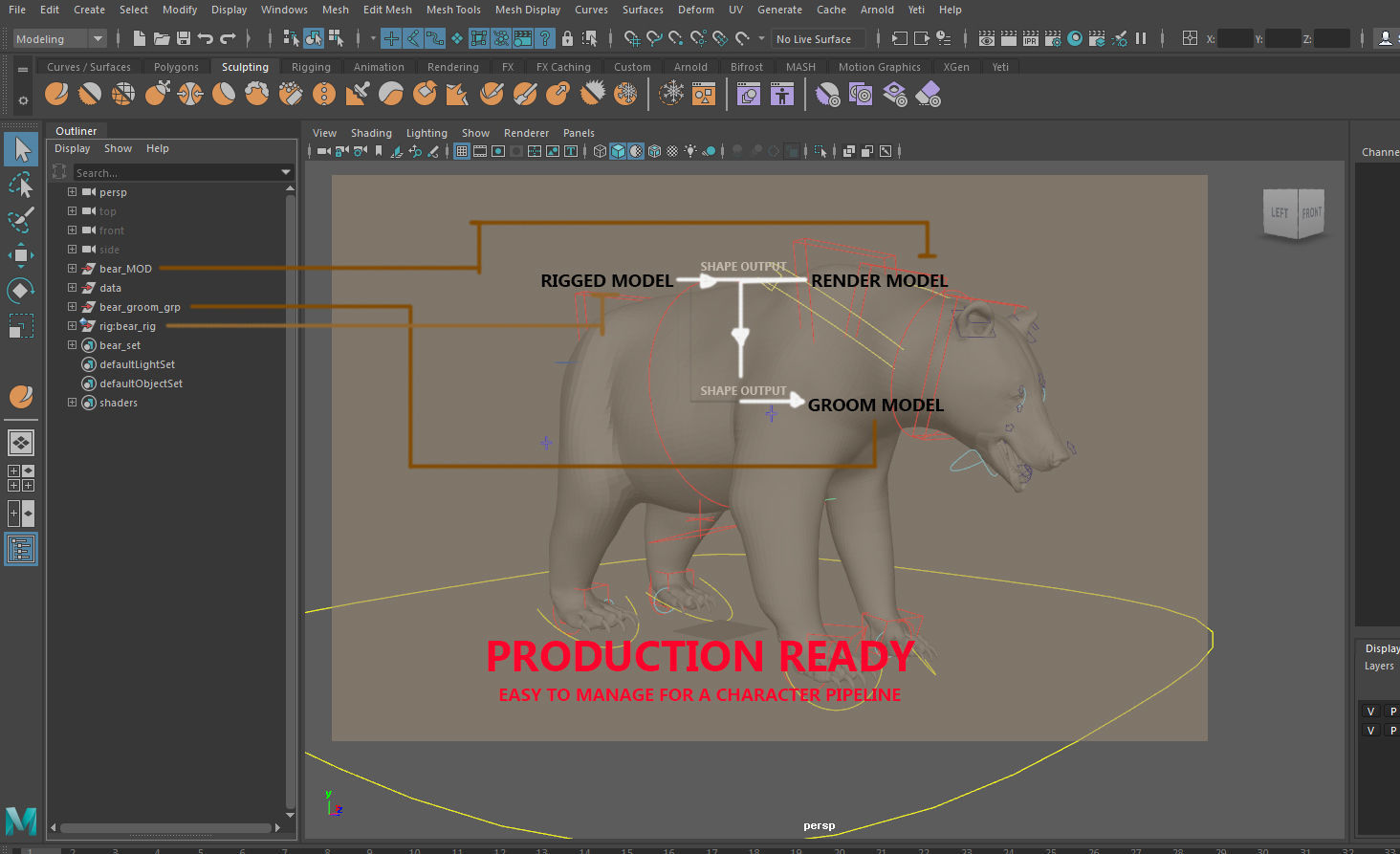 grizzly bear MODEL RIG ANIM 3D model animated rigged | CGTrader