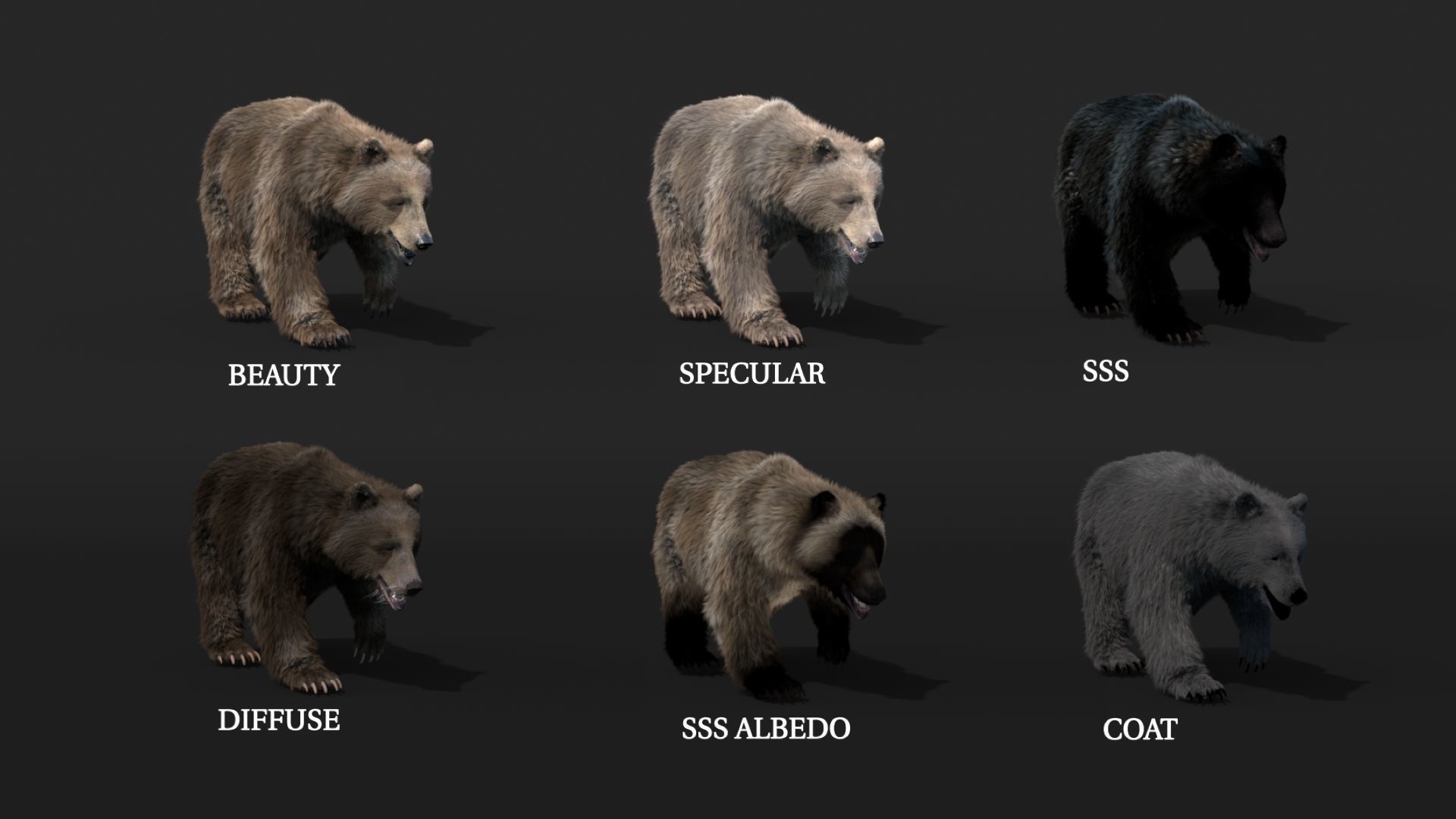 grizzly bear MODEL RIG ANIM 3D model animated rigged | CGTrader