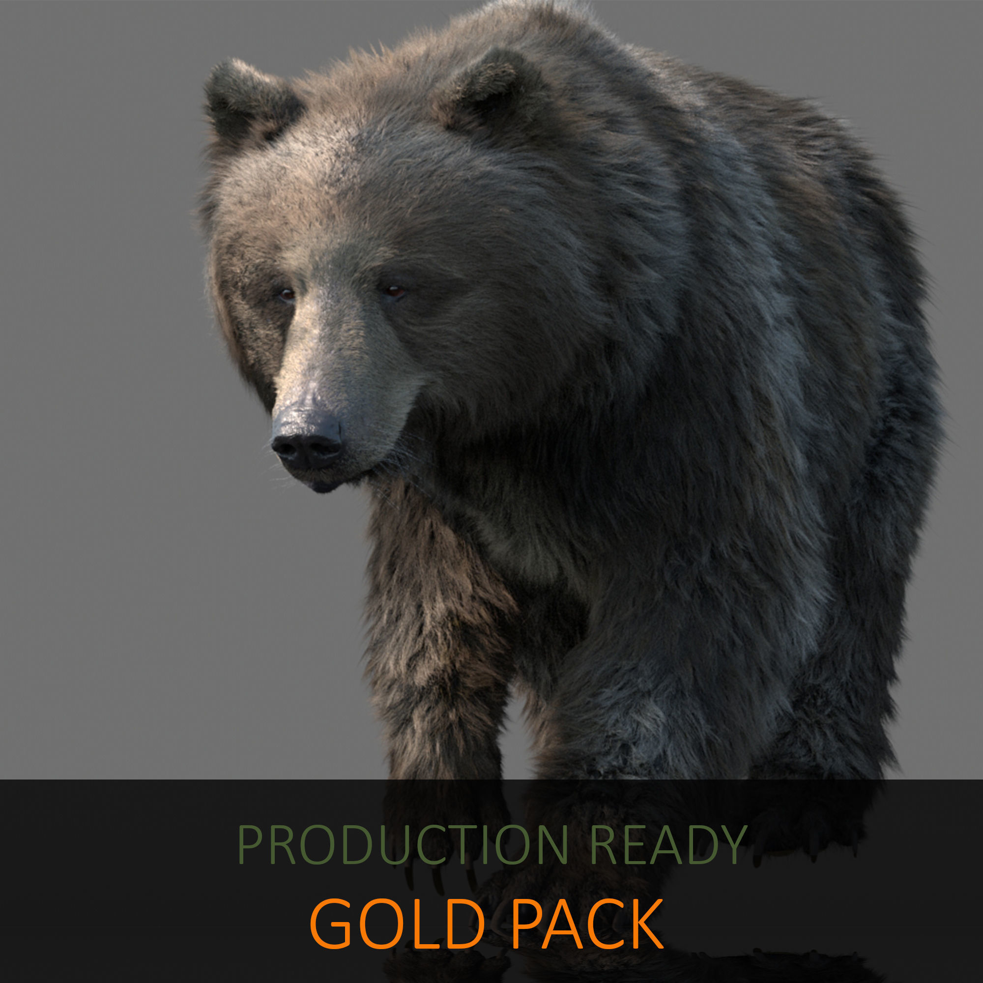 grizzly bear MODEL RIG ANIM 3D model animated rigged | CGTrader