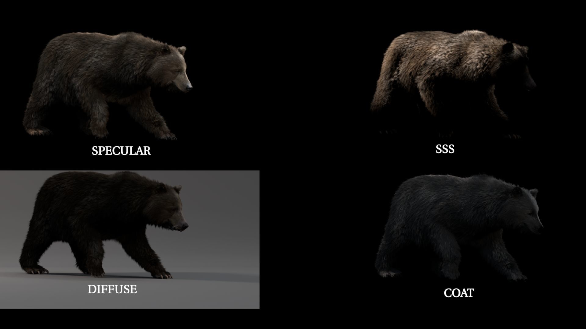 grizzly bear MODEL RIG ANIM 3D model animated rigged | CGTrader