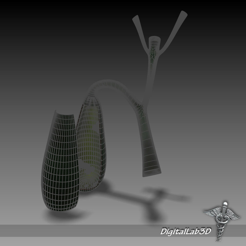 Gall Bladder Anatomy 3D model | CGTrader