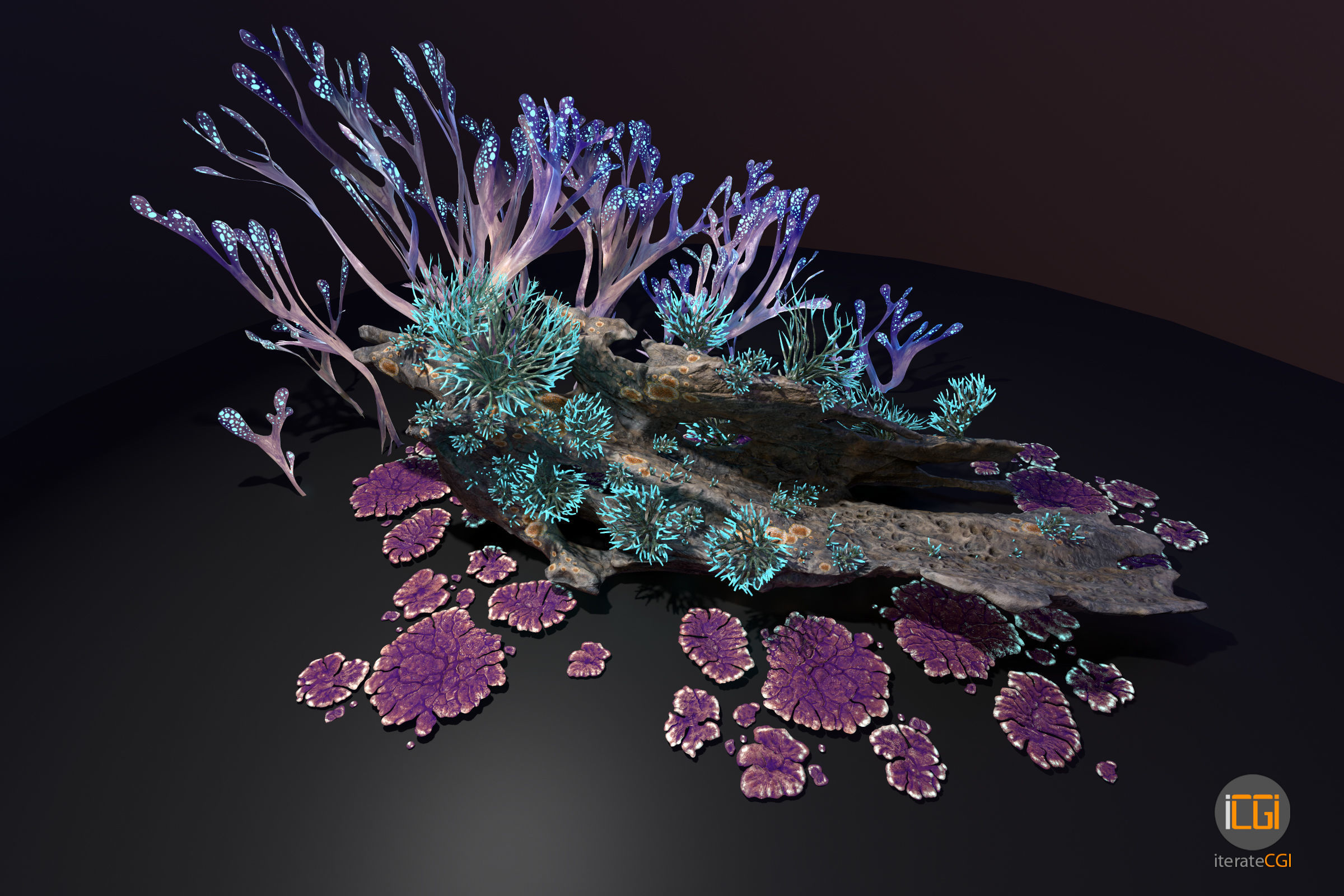 3D model Alien Plant Fungus collection 1 VR / AR / low-poly | CGTrader