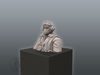 Pilot Bust 3D model 3D printable | CGTrader