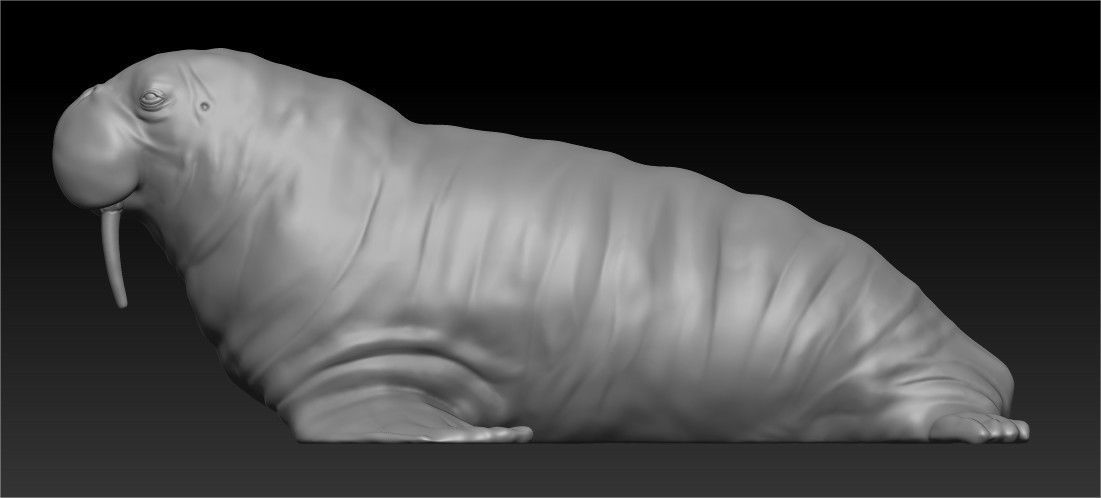 Walrus 3D print model 3D model 3D printable | CGTrader