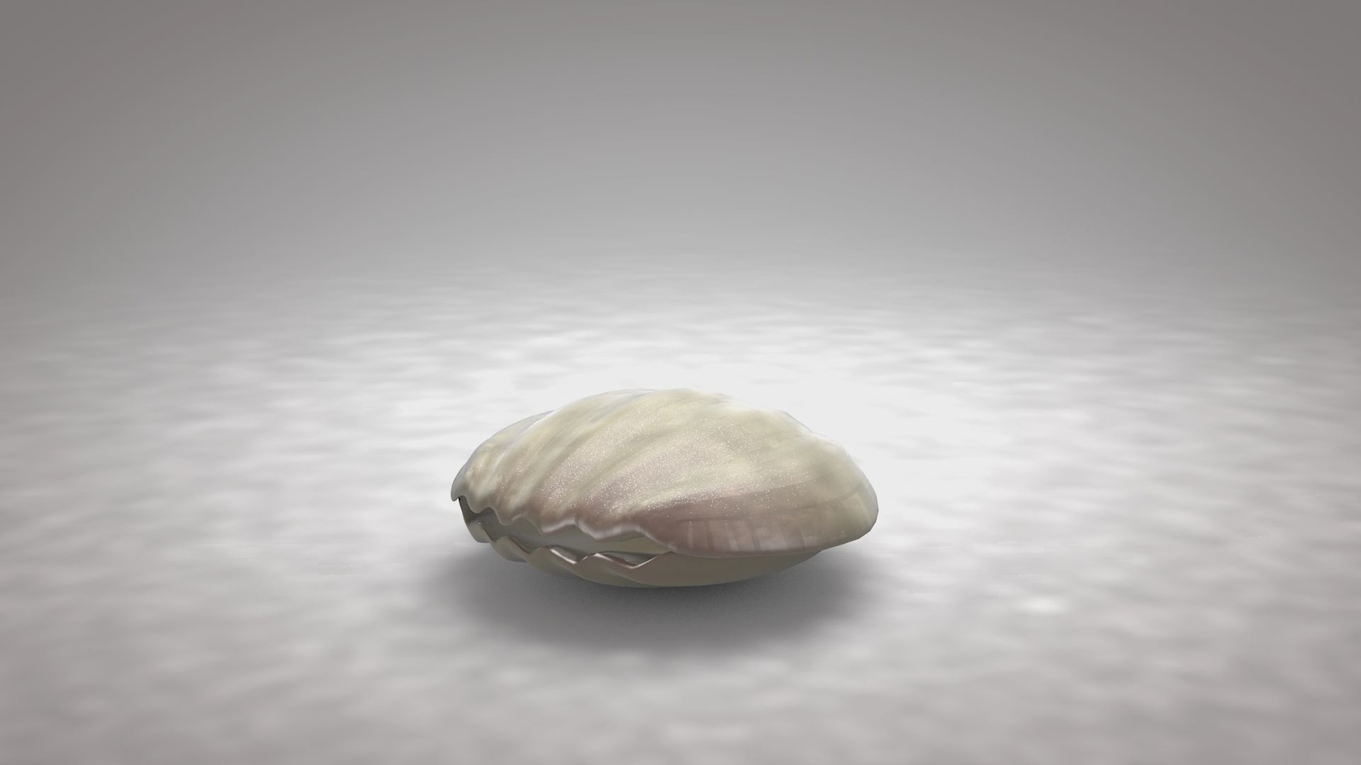 3D model Clamshell with a Pearl VR / AR / low-poly | CGTrader