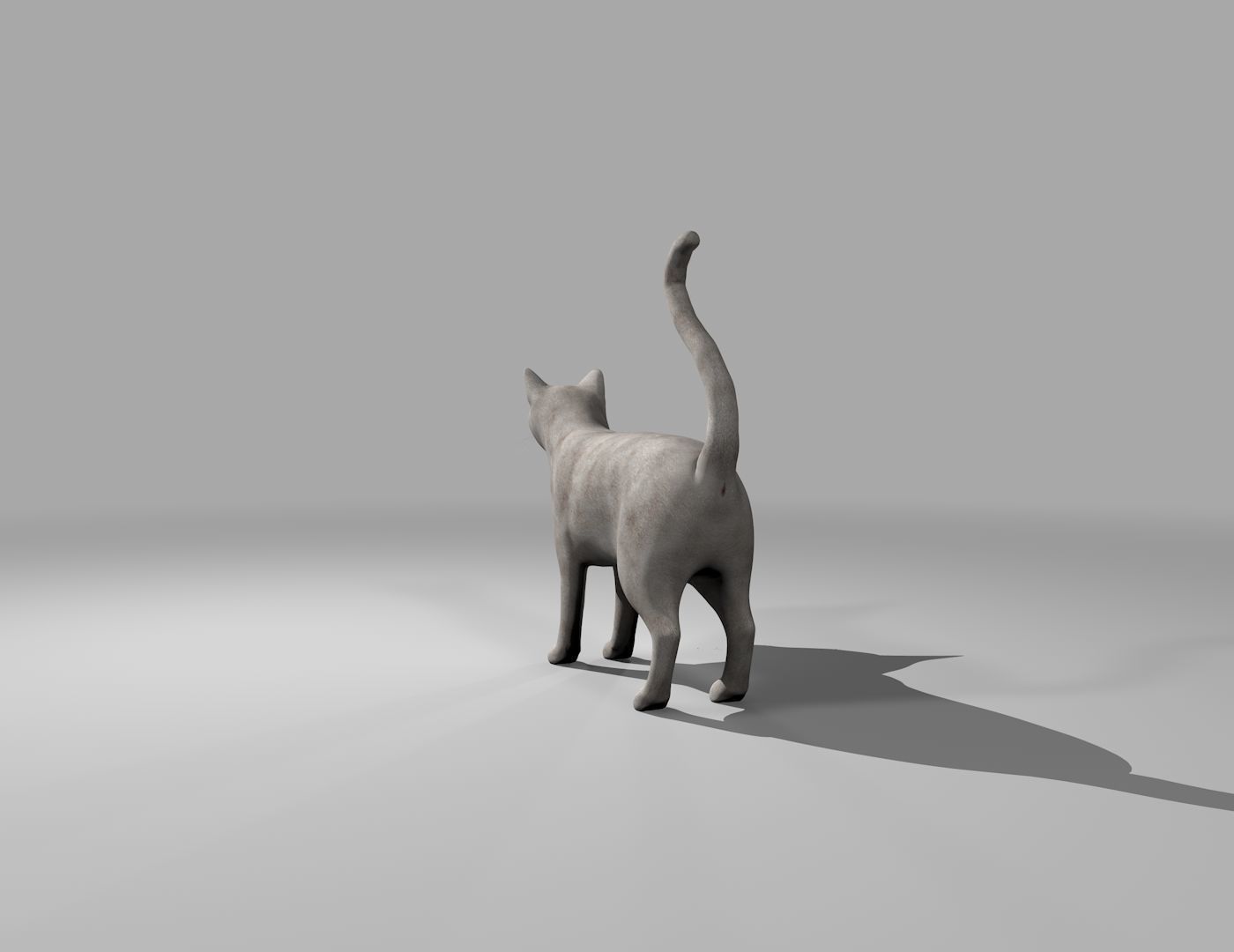 3D model White Cat Rigged VR / AR / low-poly | CGTrader