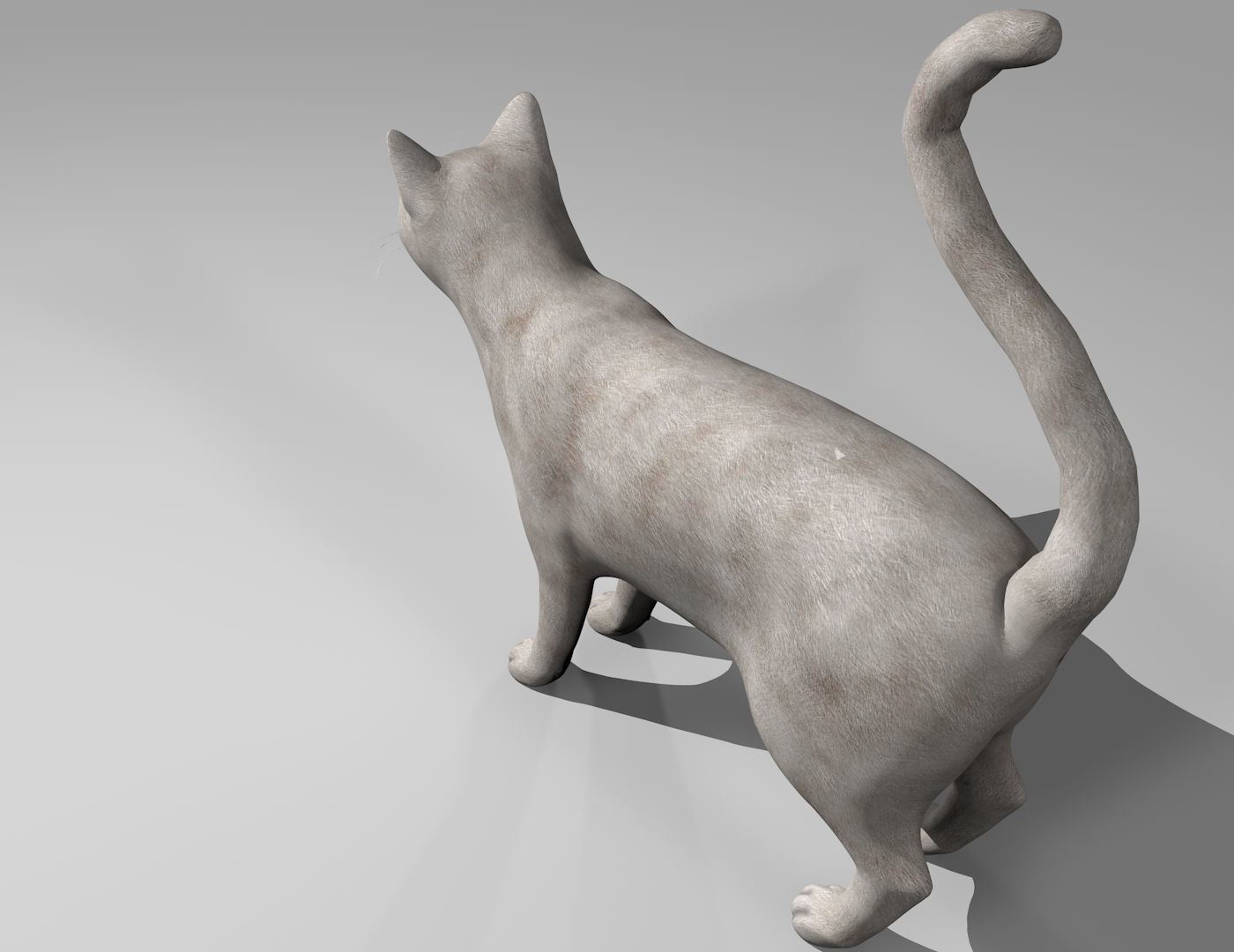 3D model White Cat Rigged VR / AR / low-poly | CGTrader