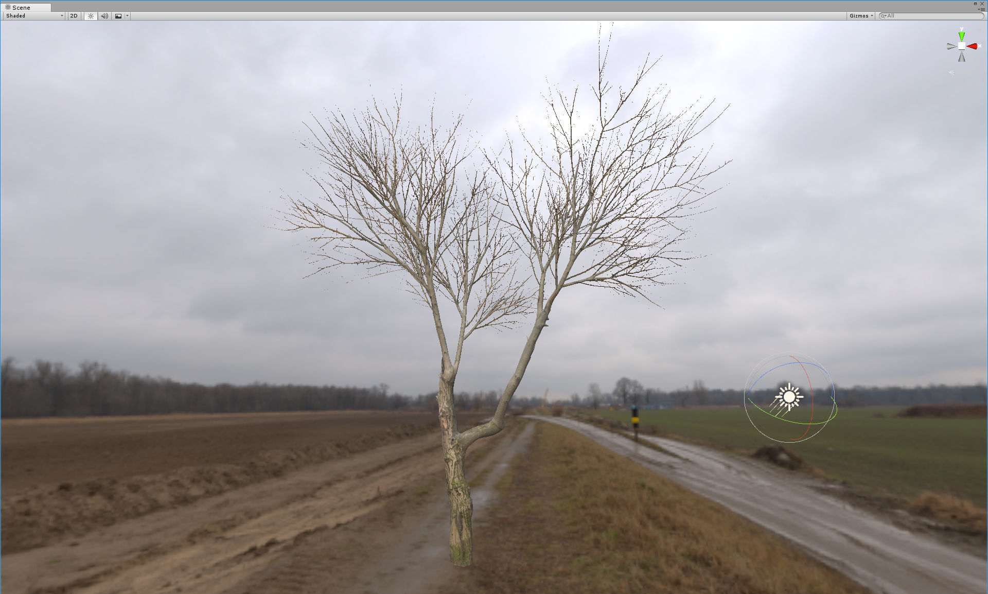 3D model Autumn Dry Tree Scan 2 Full-Size VR / AR / low-poly | CGTrader