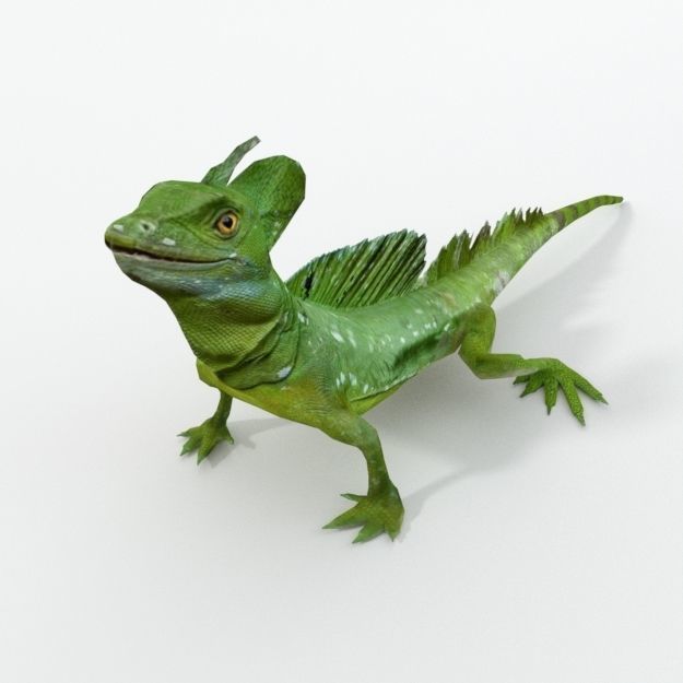 3D model Common Basilisk VR / AR / low-poly | CGTrader