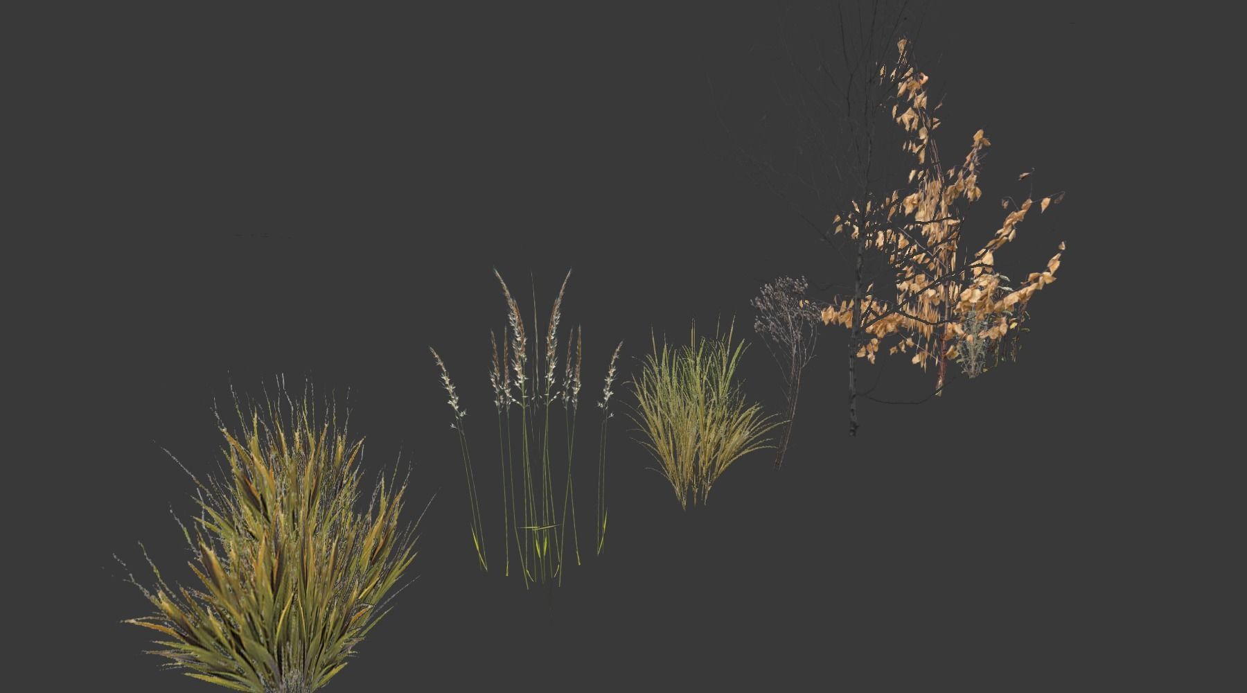 Dried vegetation set free VR / AR / low-poly 3D model | CGTrader
