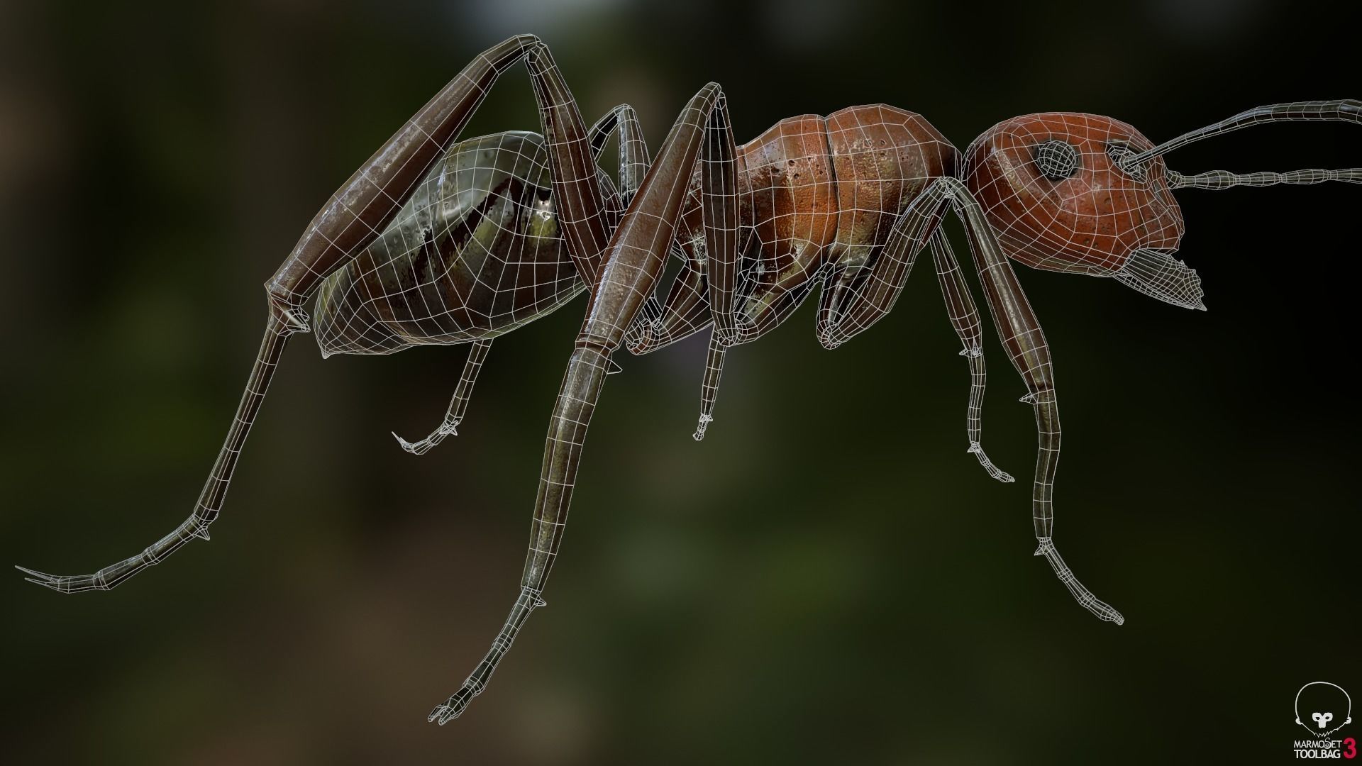 3D model Red Ant Low Poly 3d model VR / AR / low-poly rigged | CGTrader