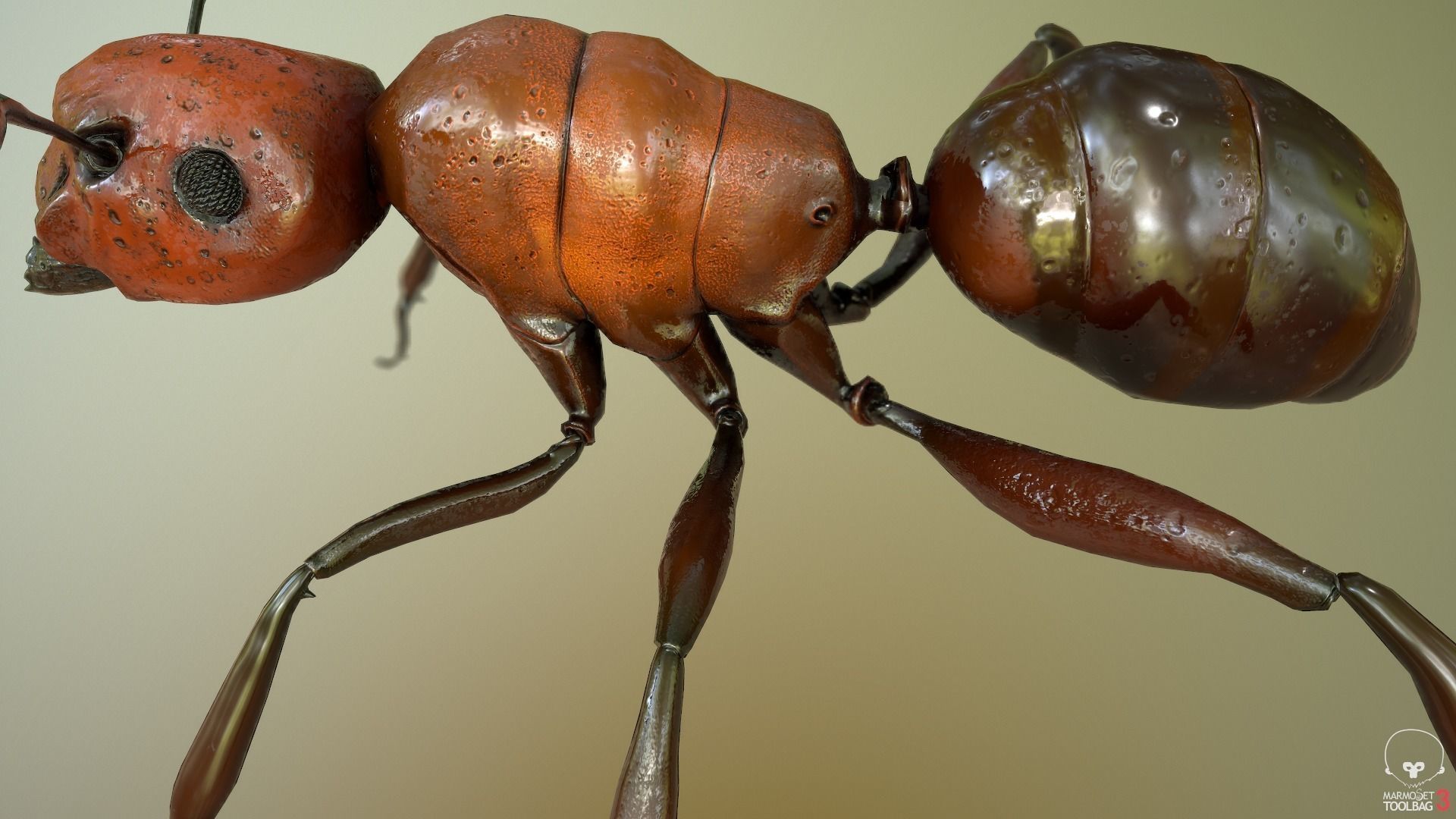 3D model Red Ant Low Poly 3d model VR / AR / low-poly rigged | CGTrader