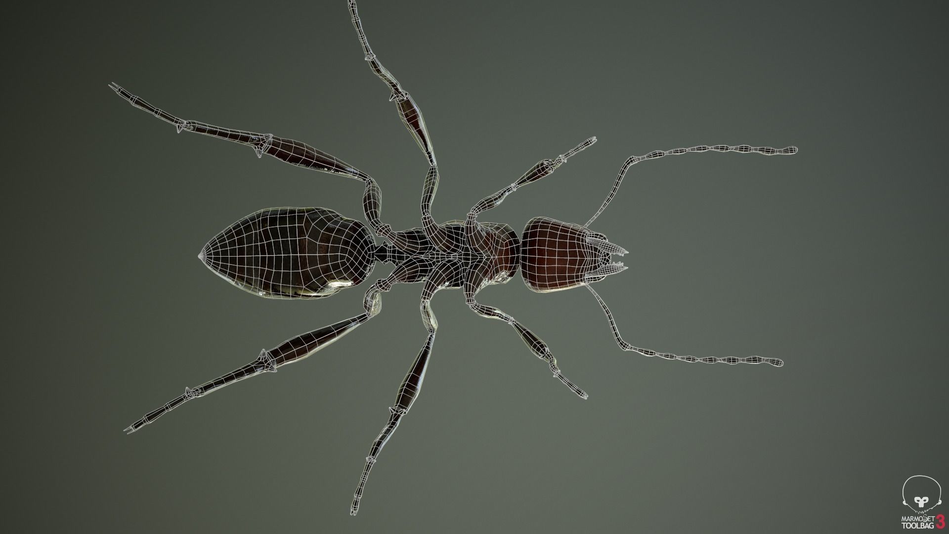 3D model Red Ant Low Poly 3d model VR / AR / low-poly rigged | CGTrader