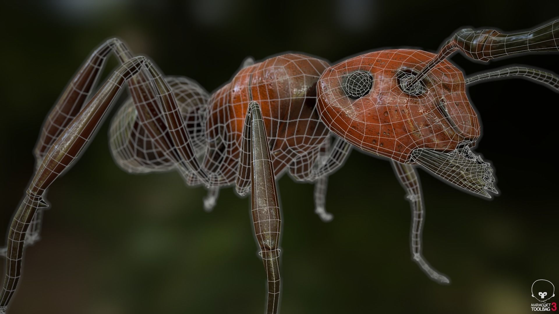 3D model Red Ant Low Poly 3d model VR / AR / low-poly rigged | CGTrader