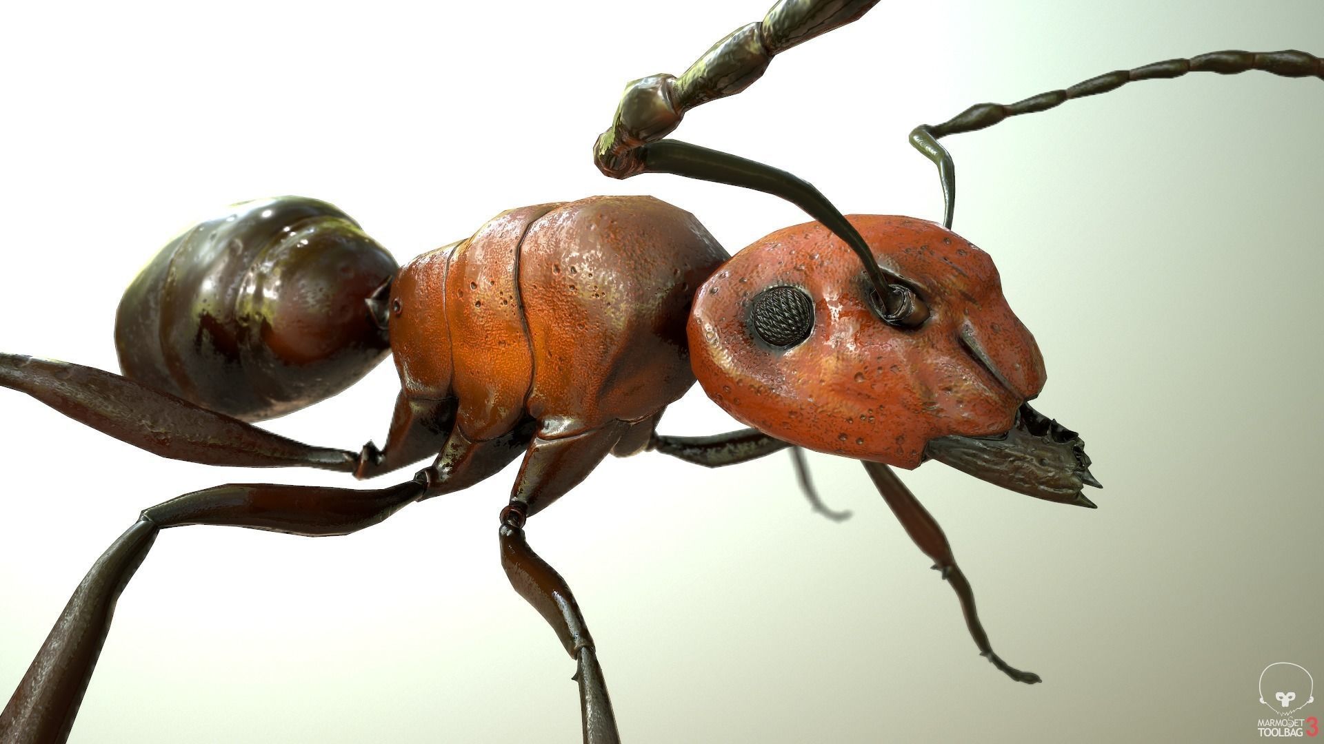 3D model Red Ant Low Poly 3d model VR / AR / low-poly rigged | CGTrader