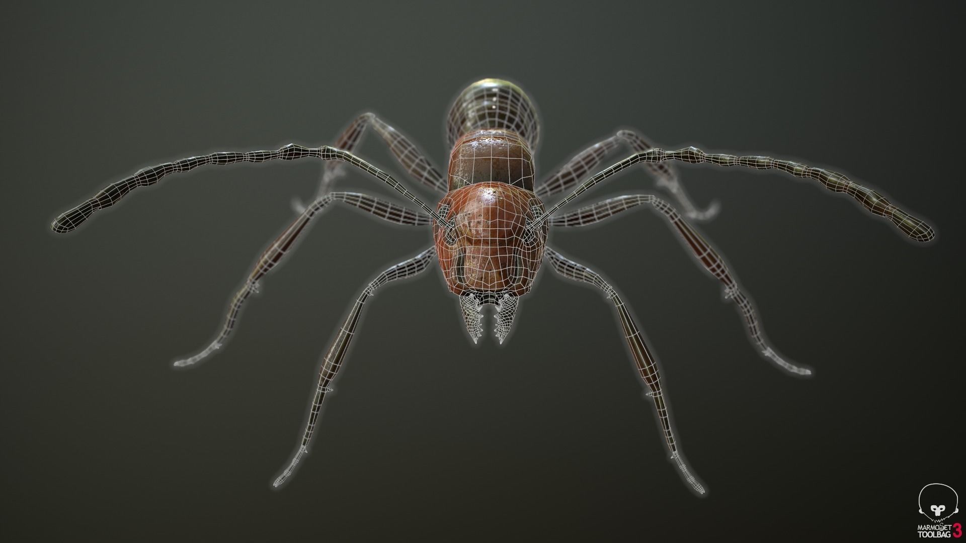 3D model Red Ant Low Poly 3d model VR / AR / low-poly rigged | CGTrader