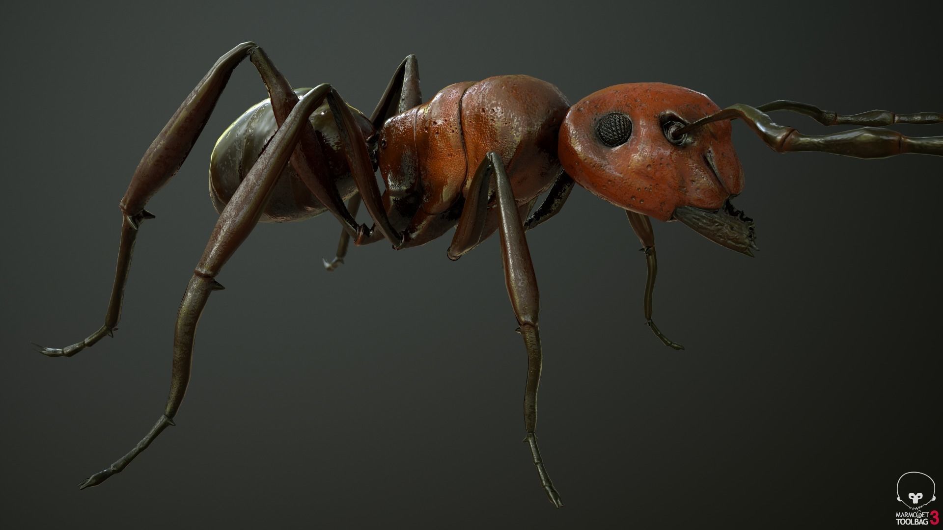 3D model Red Ant Low Poly 3d model VR / AR / low-poly rigged | CGTrader