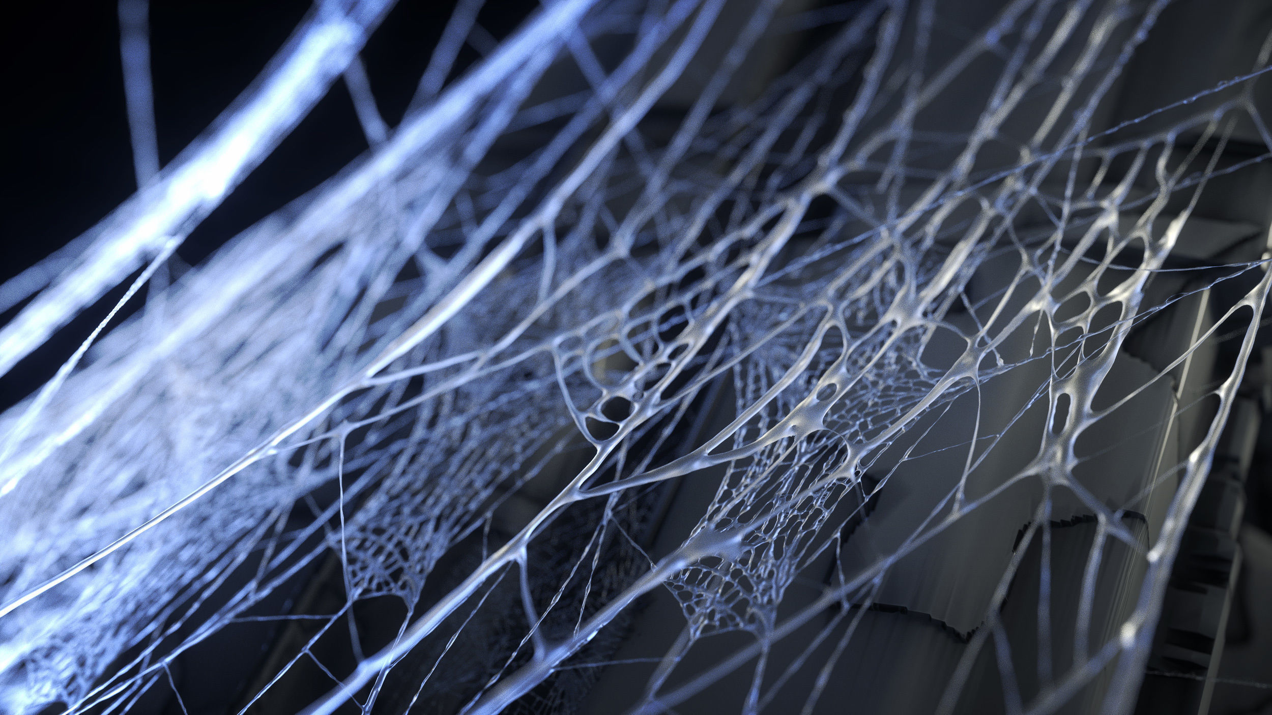 12 Cobwebs 3D models with tutorial for Blender and Zbrush 3D model ...