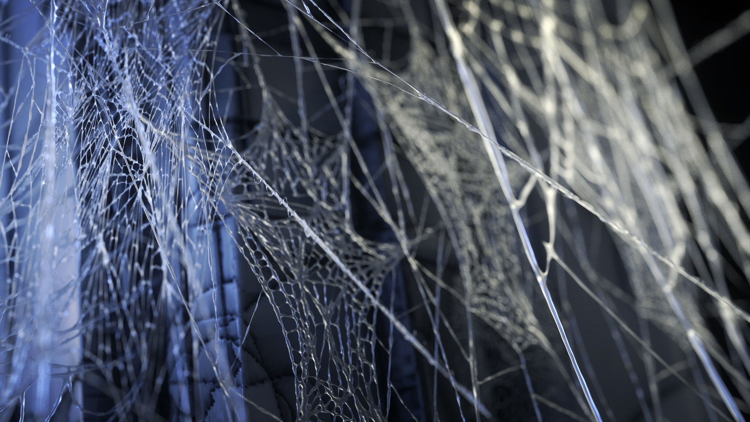 12 Cobwebs 3D models with tutorial for Blender and Zbrush 3D model ...