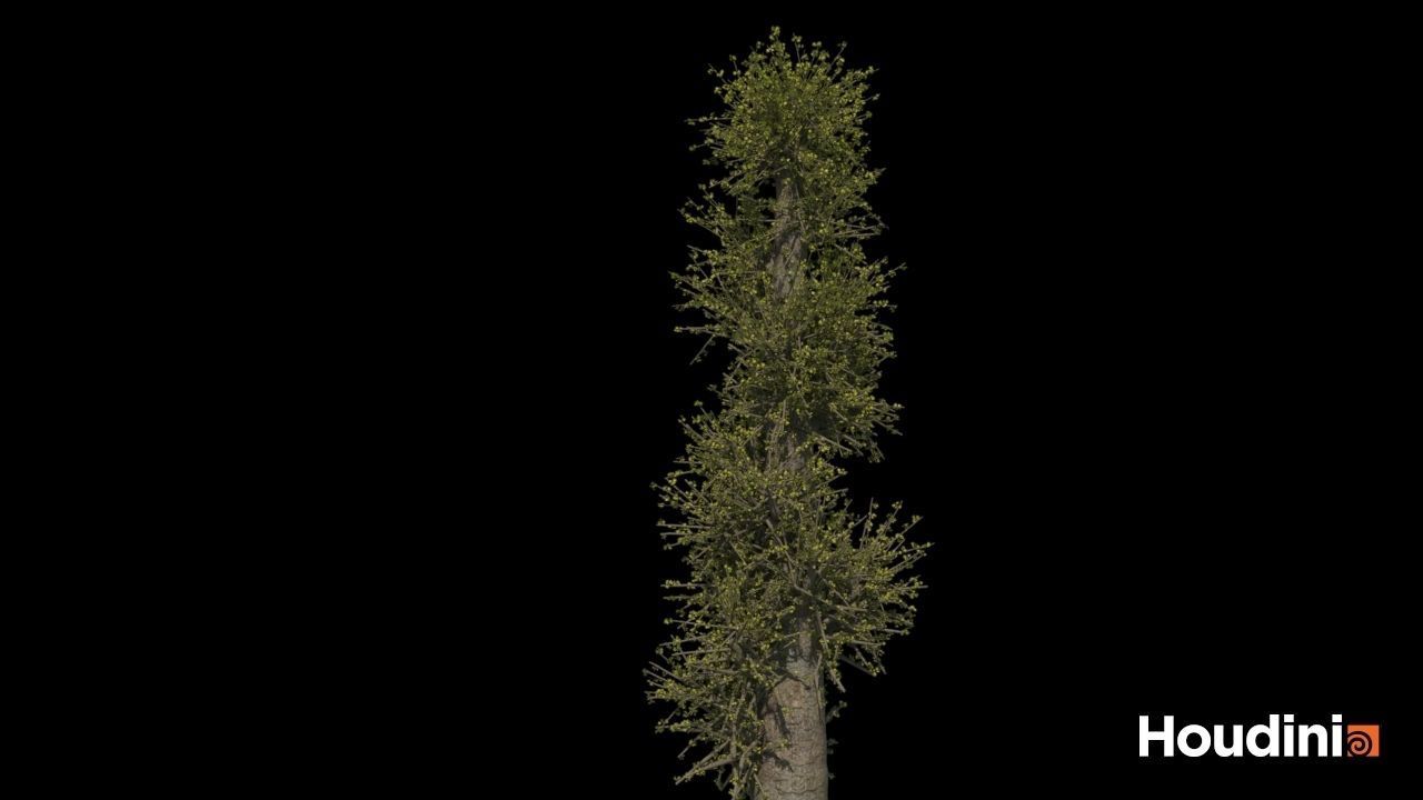 3D model Houdini Tree Generator Asset VR / AR / low-poly rigged ...