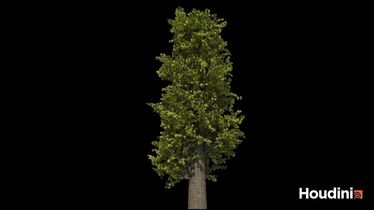 3D model Houdini Tree Generator Asset VR / AR / low-poly rigged ...