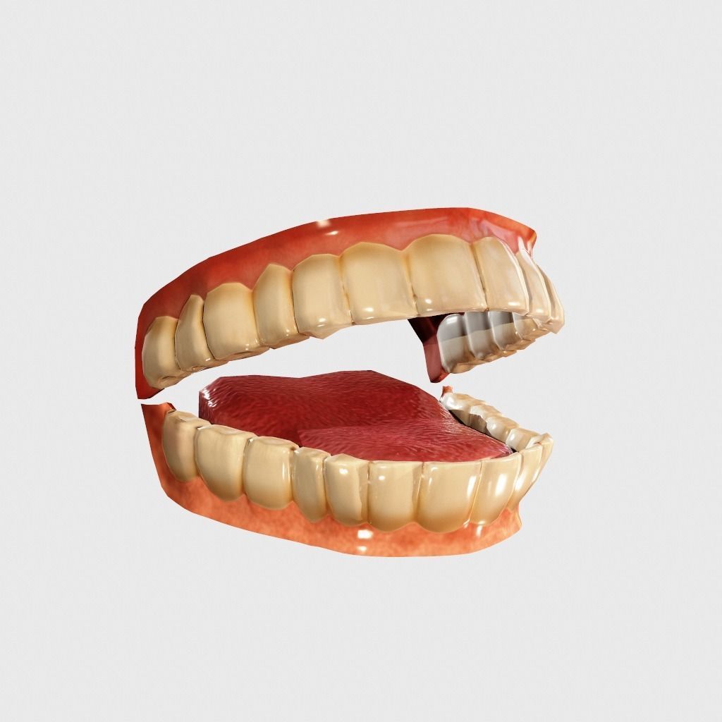 Teeth Low Poly Model human mouth with missing free VR / AR / low-poly ...