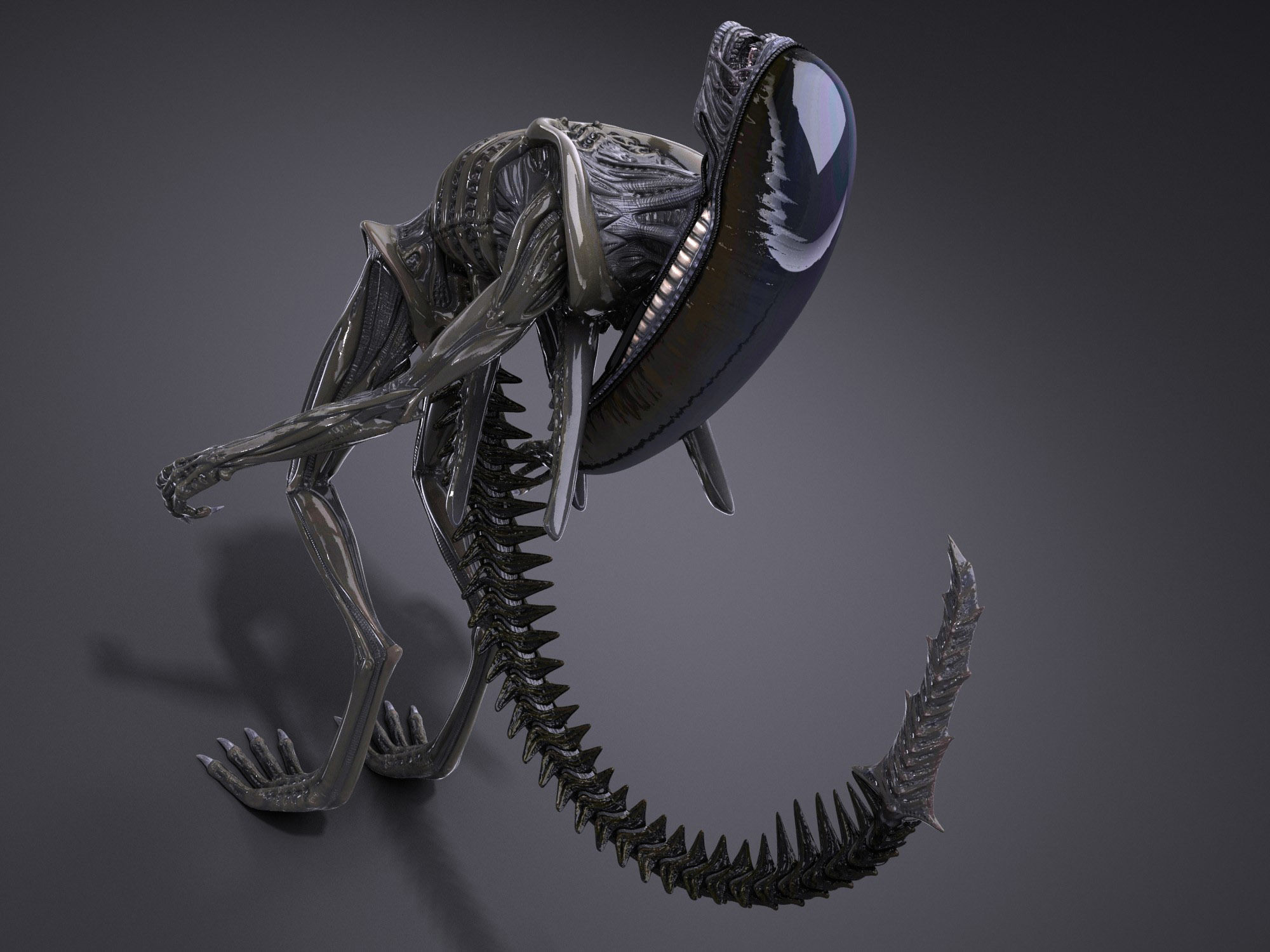 Alien Xenomorph High Detail 3D model rigged | CGTrader