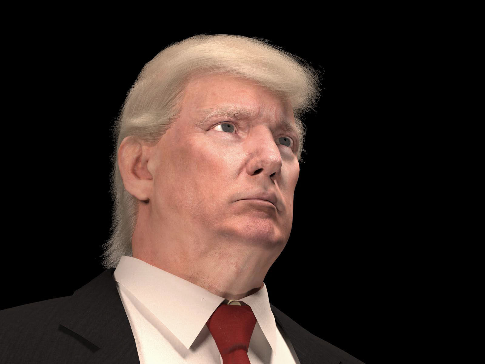 Donald Trump 3D model rigged | CGTrader