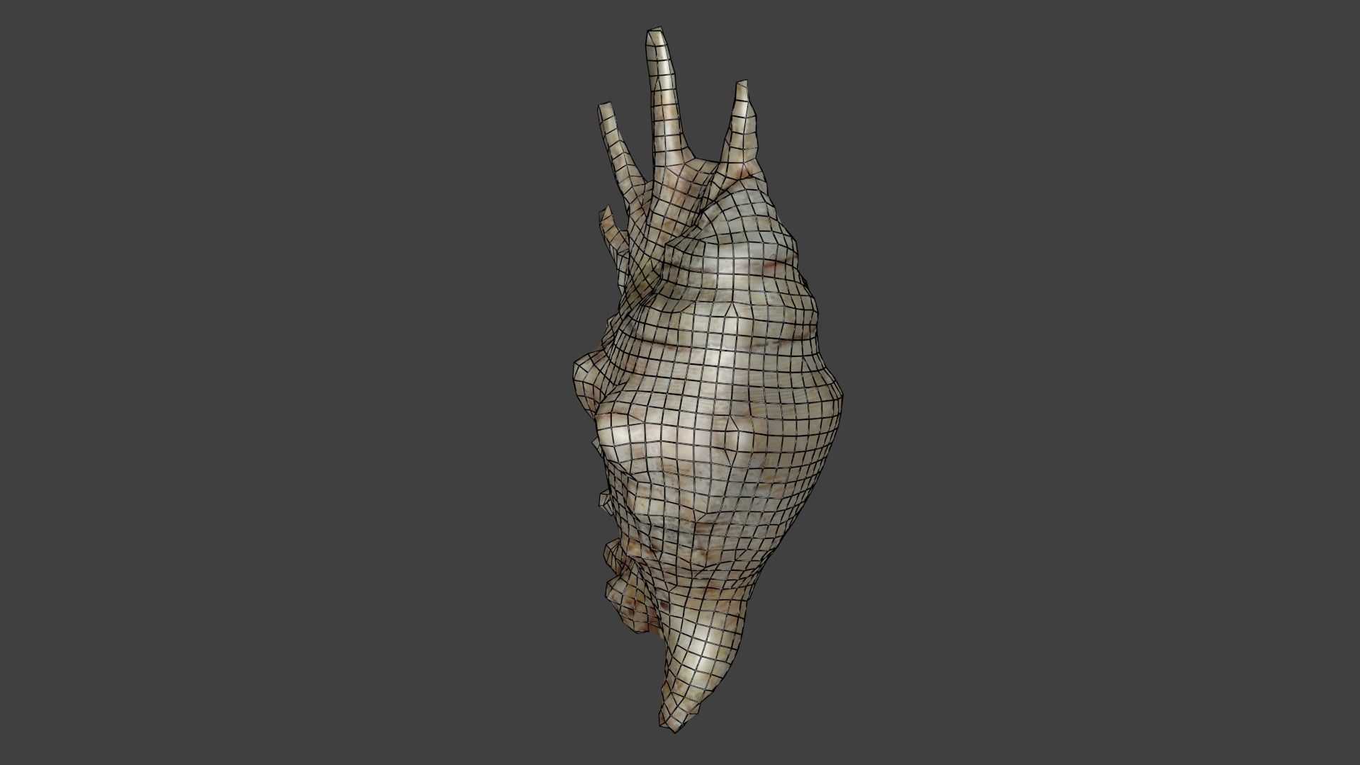3D model Low Poly Murex Seashell VR / AR / low-poly | CGTrader