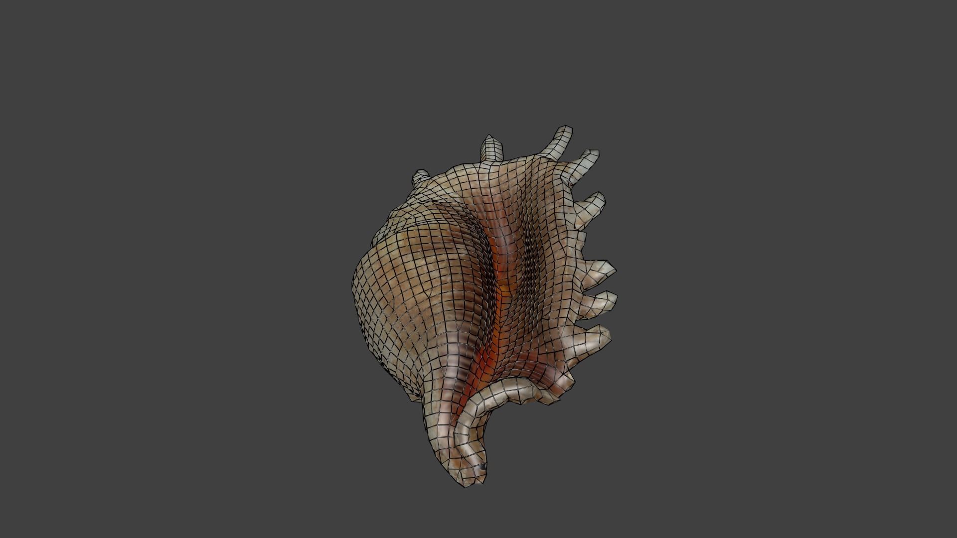 3D model Low Poly Murex Seashell VR / AR / low-poly | CGTrader